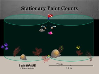 Introduction for NOAA lesson by Susan Kaiser, TAS 2012: One Fish, Two ...