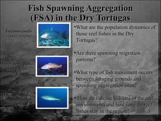 Introduction for NOAA lesson by Susan Kaiser, TAS 2012: One Fish, Two ...