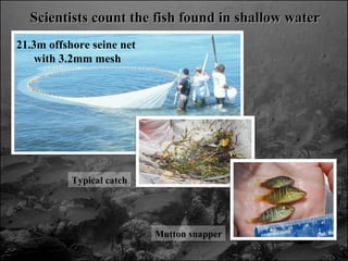 Introduction for NOAA lesson by Susan Kaiser, TAS 2012: One Fish, Two ...