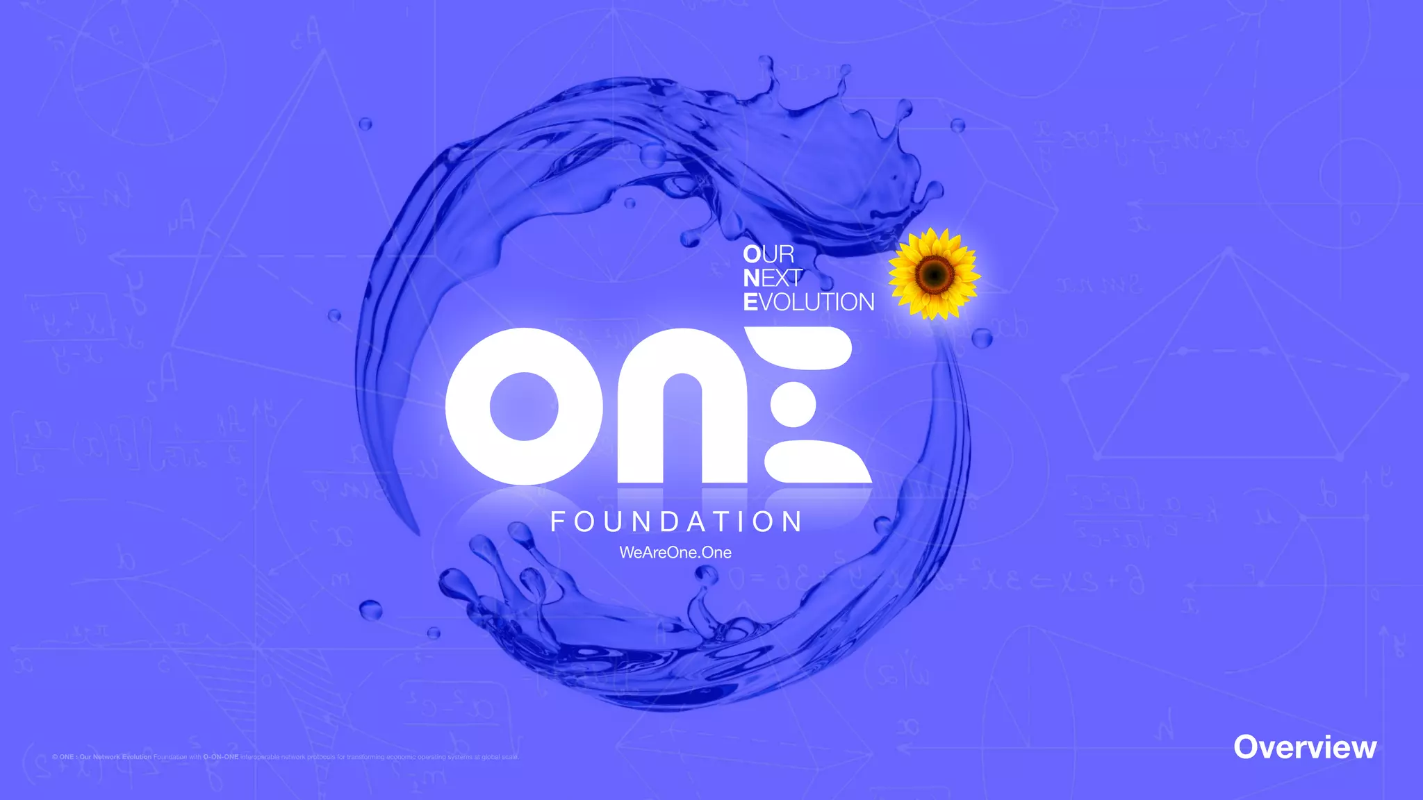 ONE Foundation Overview | PDF