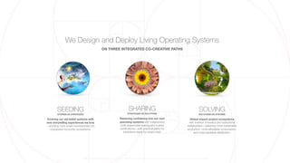 ONE Foundation Overview | PDF