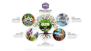 ONE Foundation Overview | PDF