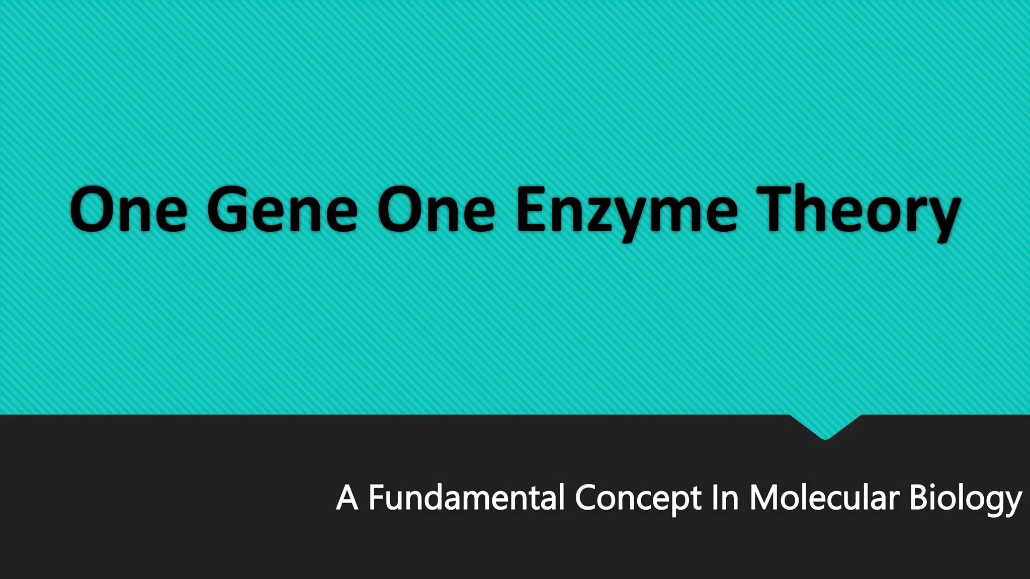 One Gene One Enzyme Theory.pptxvhvhfhfhfhf | PPTX