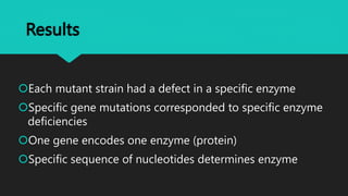 One Gene One Enzyme Theory.pptxvhvhfhfhfhf | PPTX