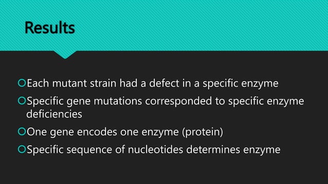 One Gene One Enzyme Theory.pptxvhvhfhfhfhf | PPTX