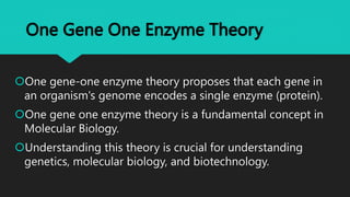 One Gene One Enzyme Theory.pptxvhvhfhfhfhf | PPTX