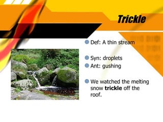 One Grain Rice Vocab | PPT