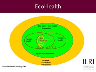 One Health approaches to prevent and control zoonoses | PPT