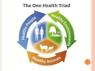 One health | PPTX