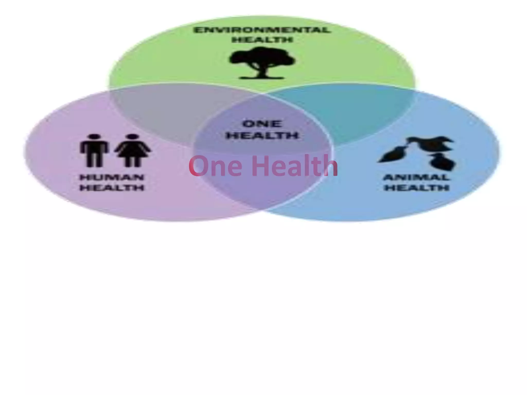 One health | PPTX