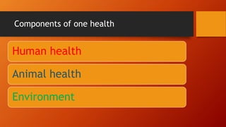 One Health.pptx | Infectious Diseases | Diseases and Conditions