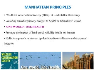 One Health.ppt | Infectious Diseases | Diseases and Conditions