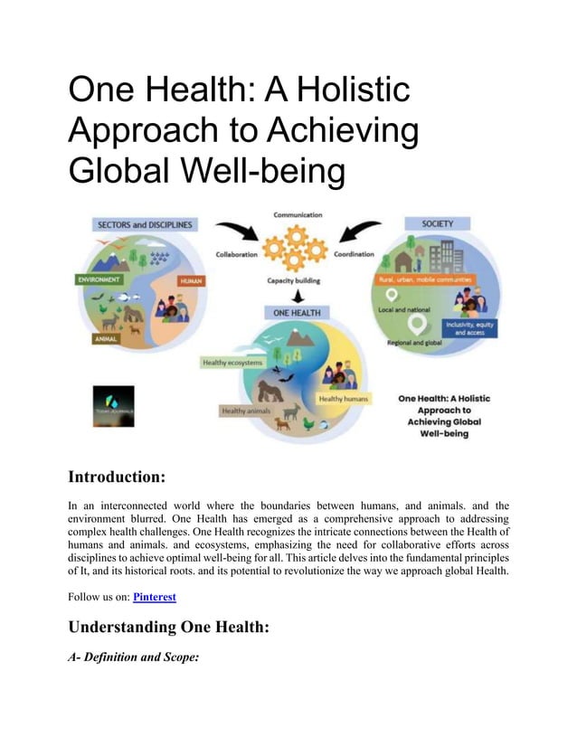 One Health: A Holistic Approach to Achieving Global Well-being | PDF