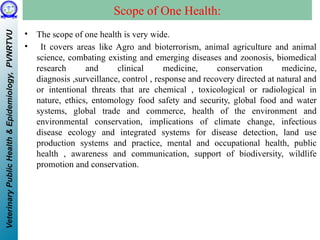 one health concepts and principles basics | PPTX