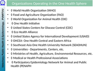 one health concepts and principles basics | PPTX