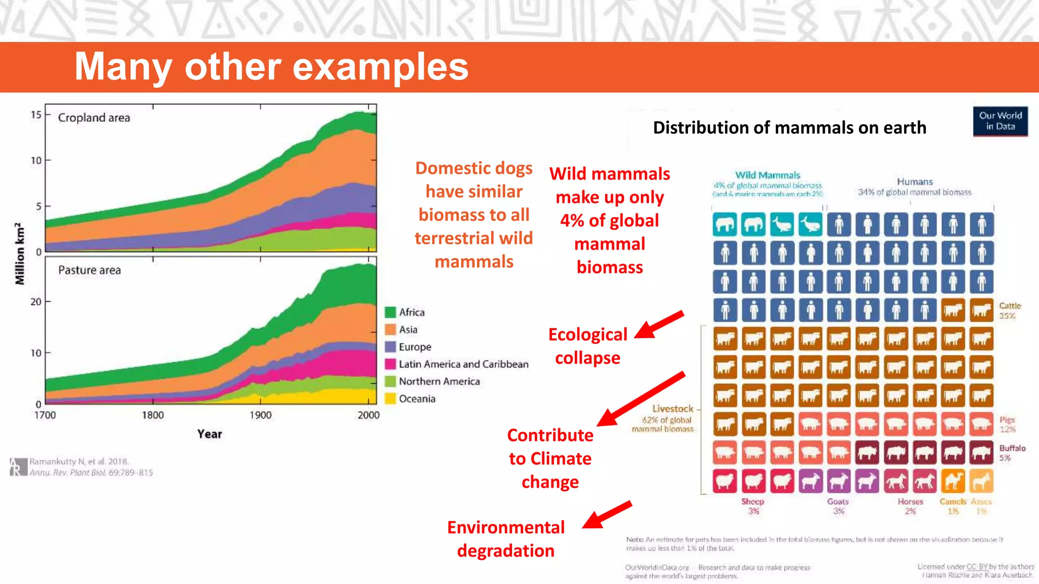 What is One Health and why is it important? | PPTX