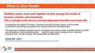 What is One Health and why is it important? | PPTX