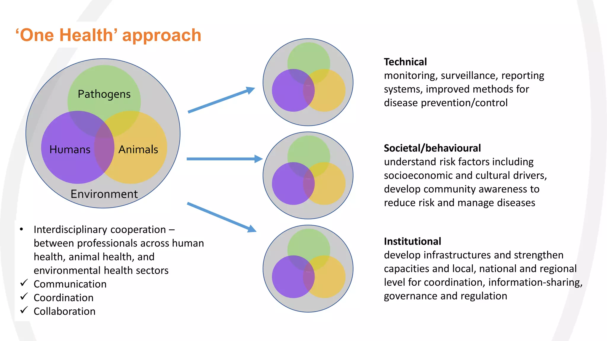 One Health and AMR | PDF