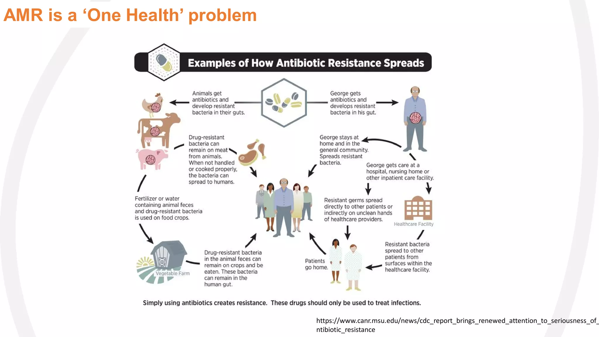 One Health and AMR | PDF