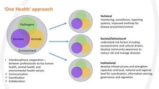One Health and AMR | PDF