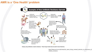One Health and AMR | PDF