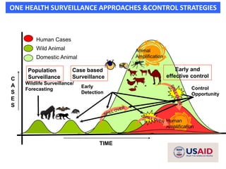 One health Perspective and Vector Borne Diseases | PDF