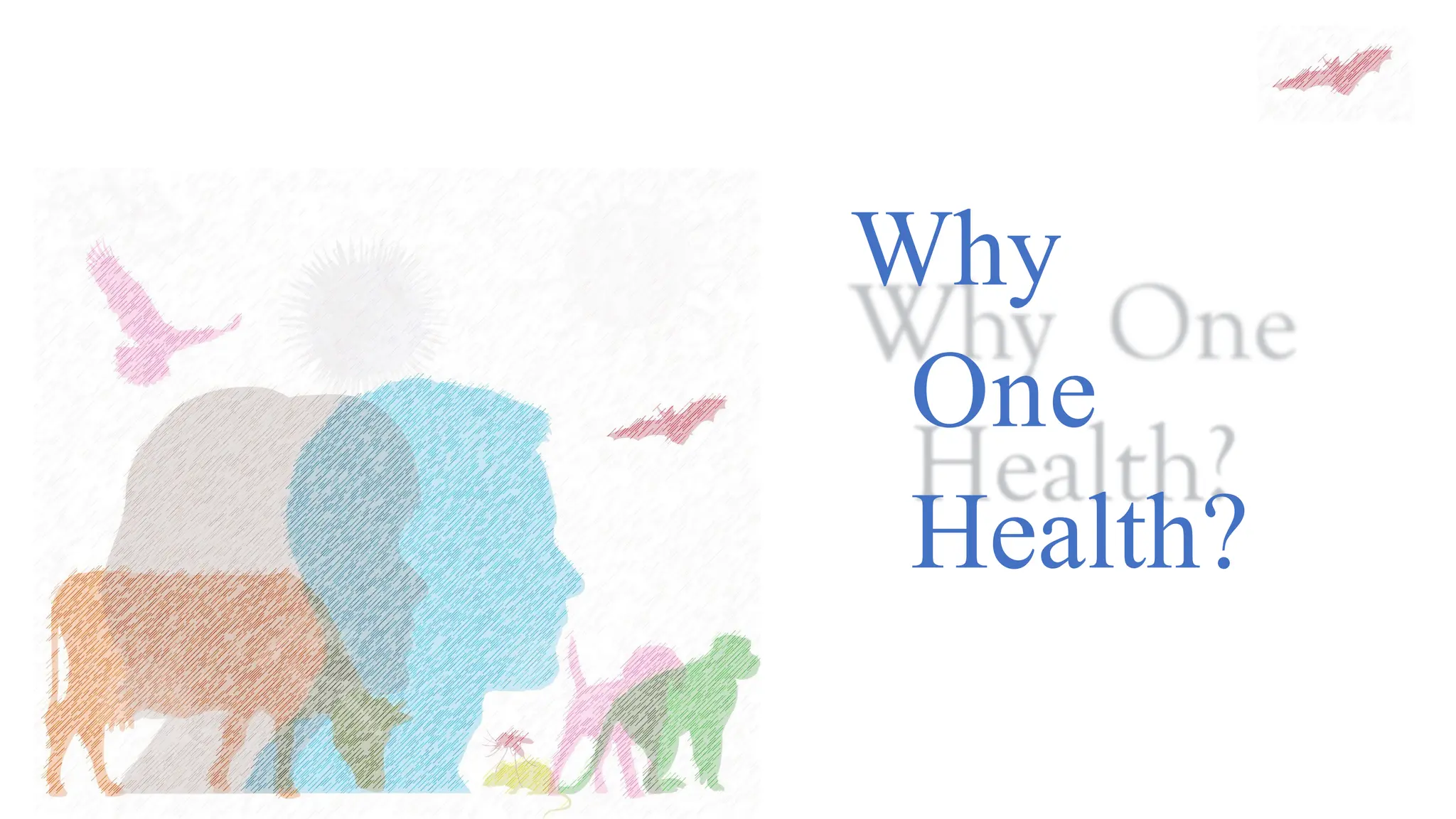 One Health Approach -Concept and utility 2025.pptx