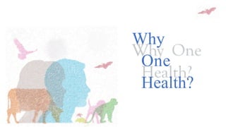 One Health Approach -Concept and utility 2025.pptx