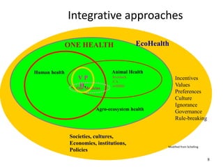 One Health approaches: Genesis, implementation and best practices | PPT