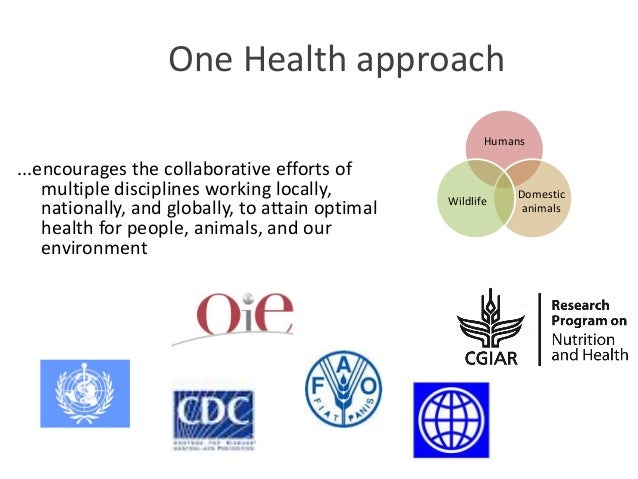 One Health approaches: Genesis, implementation and best practices