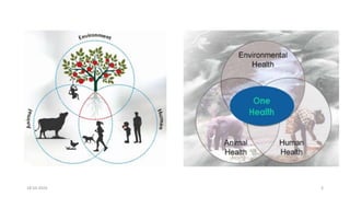 One health approach in Public Health.pptx