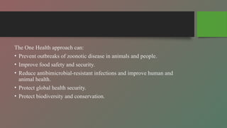 one health PowerPoint presentation .pptx