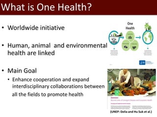Strengthening capacities for improving human and animal health in ...