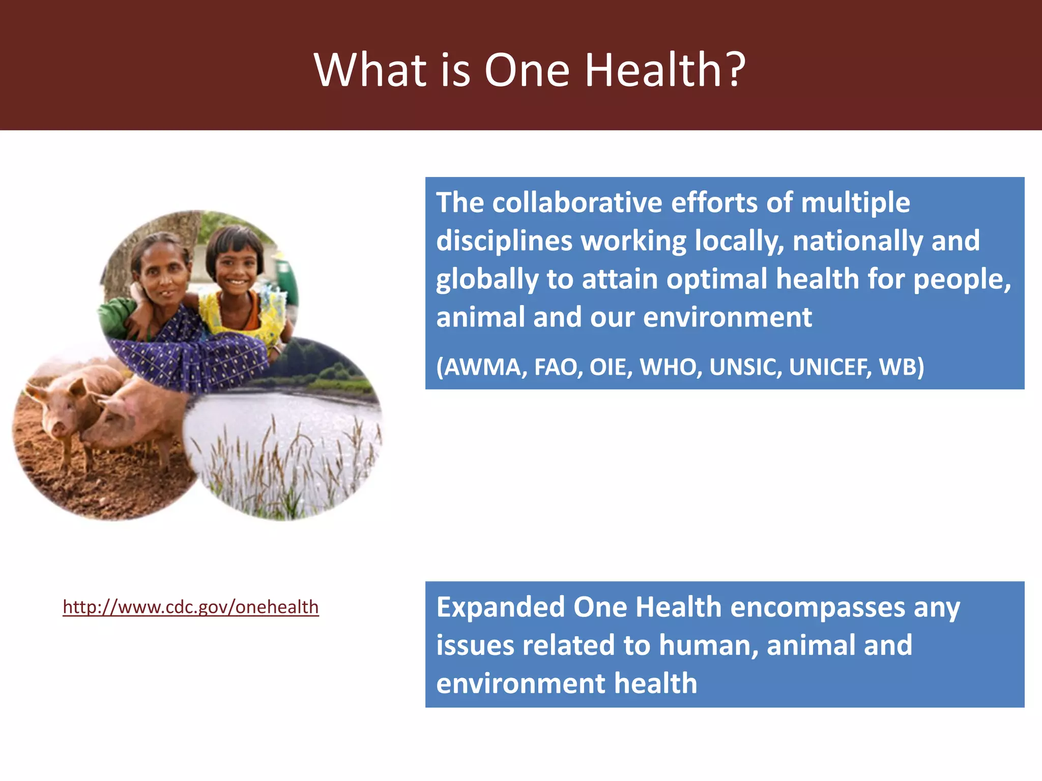 One Health: Concept and applications | PDF