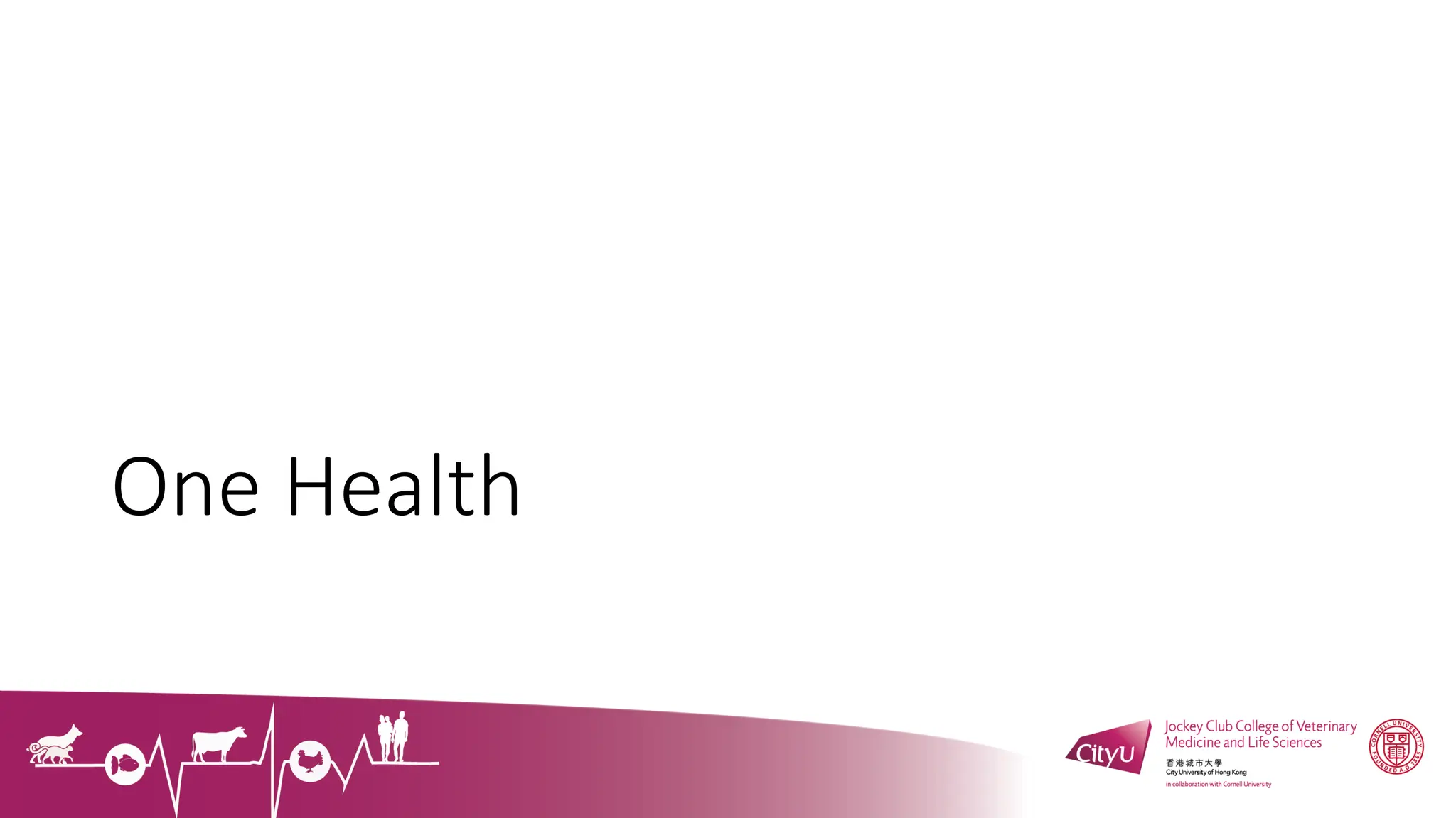 One Health for tackling real-world complex challenges_Dirk_Pfeiffer_7.2 ...