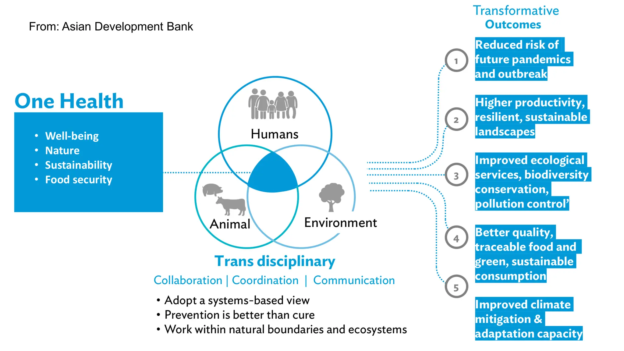 One Health for tackling real-world complex challenges_Dirk_Pfeiffer_7.2.24.pdf