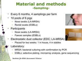 Antimicrobial-resistant pathogens: LA-MRSA in pig farming | PPT