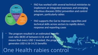 One Health Rabies Control in Indonesia_APCAT meeting May 2022.pptx