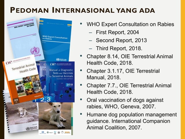 One Health Roadmap Eliminasi Rabies 2030 - Kemenko PMK-Pandemic ...