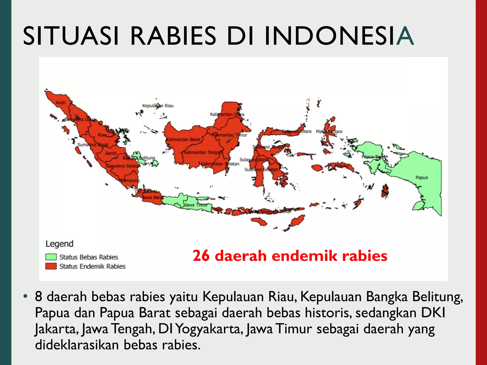 One Health Roadmap Eliminasi Rabies Nasional 2030 - PPR USAID, Jakarta ...