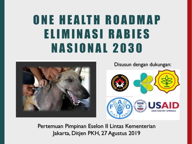 One Health Roadmap Eliminasi Rabies Nasional 2030 - PPR USAID, Jakarta ...