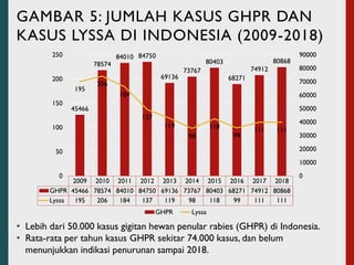 One Health Roadmap Eliminasi Rabies Nasional 2030 - PPR USAID, Jakarta ...