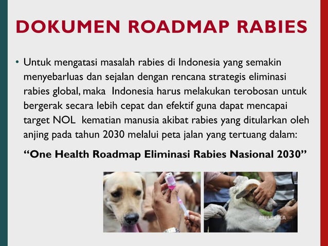 One Health Roadmap Eliminasi Rabies Nasional 2030 - PPR USAID, Jakarta ...