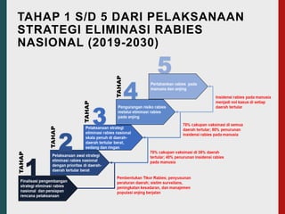 One Health Roadmap Eliminasi Rabies Nasional 2030 - PPR USAID, Jakarta ...