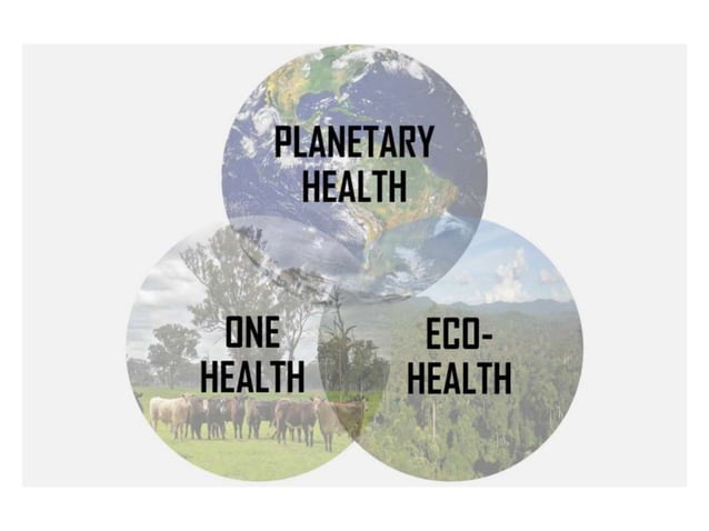 One health, three healths, many healths | PPT