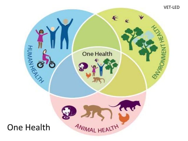 One health, three healths, many healths | PPT