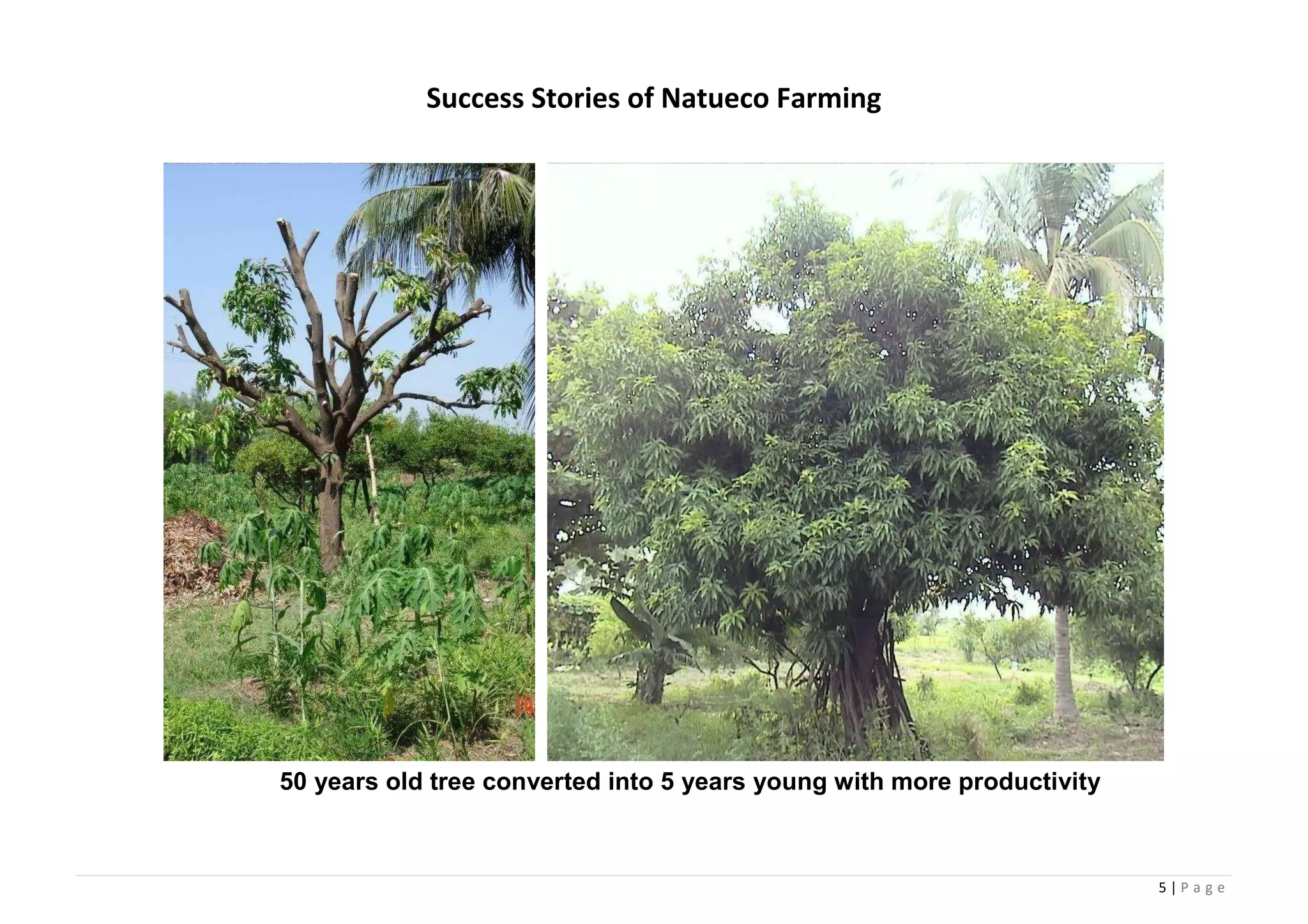 One hectare feasibility study with forward | PDF