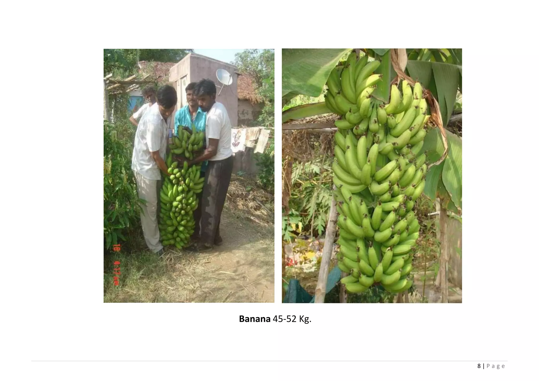 One hectare feasibility study with forward | PDF