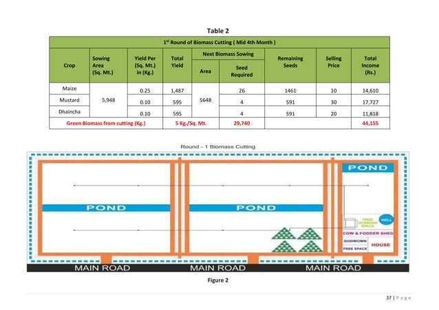 One hectare feasibility study with forward | PDF