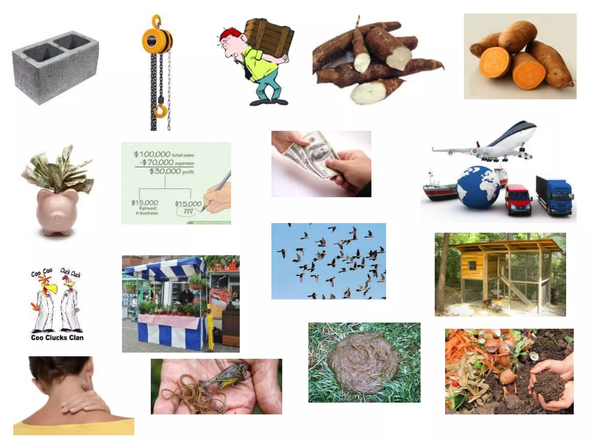 One hen vocabulary | PPTX